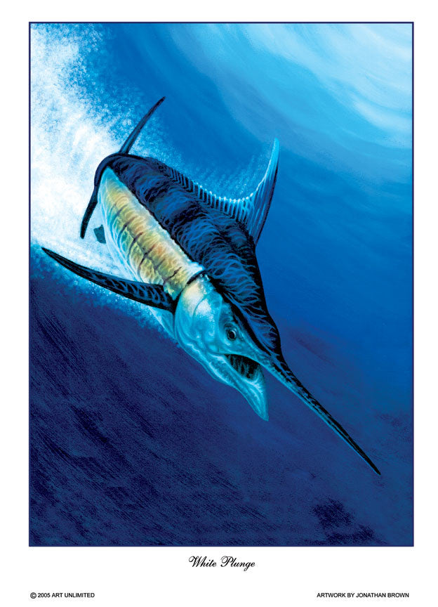 White Plunge White Marlin Art Print | Jon Brown Art - JWB Art Unlimited