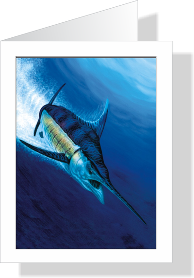 White Plunge White Marlin Note Cards - JWB Art Unlimited